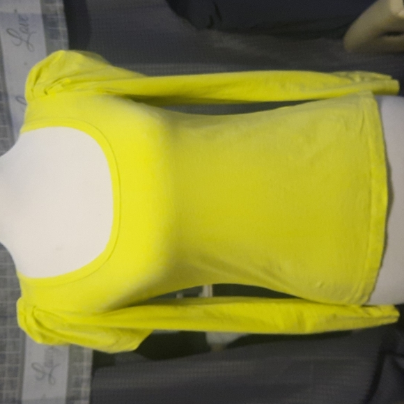 A.L.C. | Tops | Alc Sewell Puff Sleeve Top | Poshmark